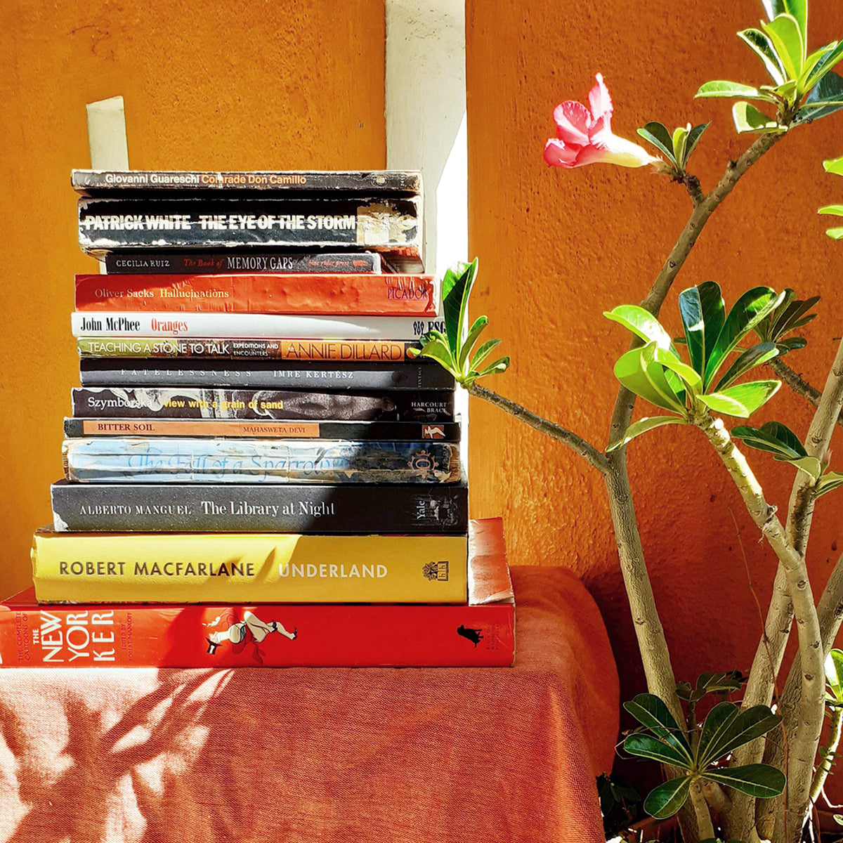 Reading in the Times of Coronavirus – Champaca Bookstore, Library and Cafe