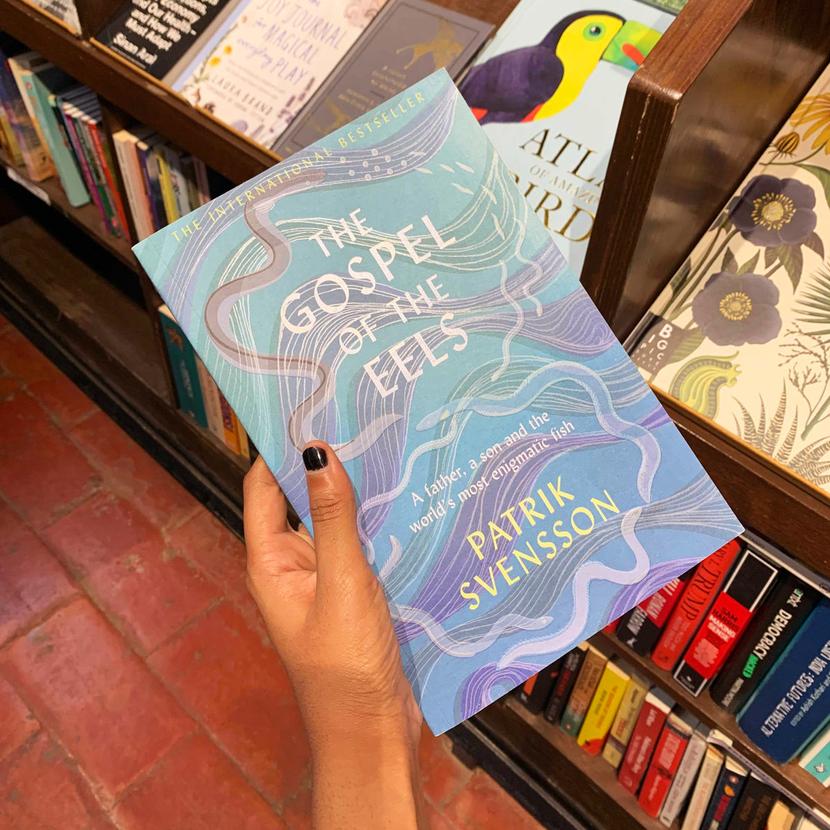 Book Review — Patrik Svensson’s “The Gospel of the Eels” – Champaca ...