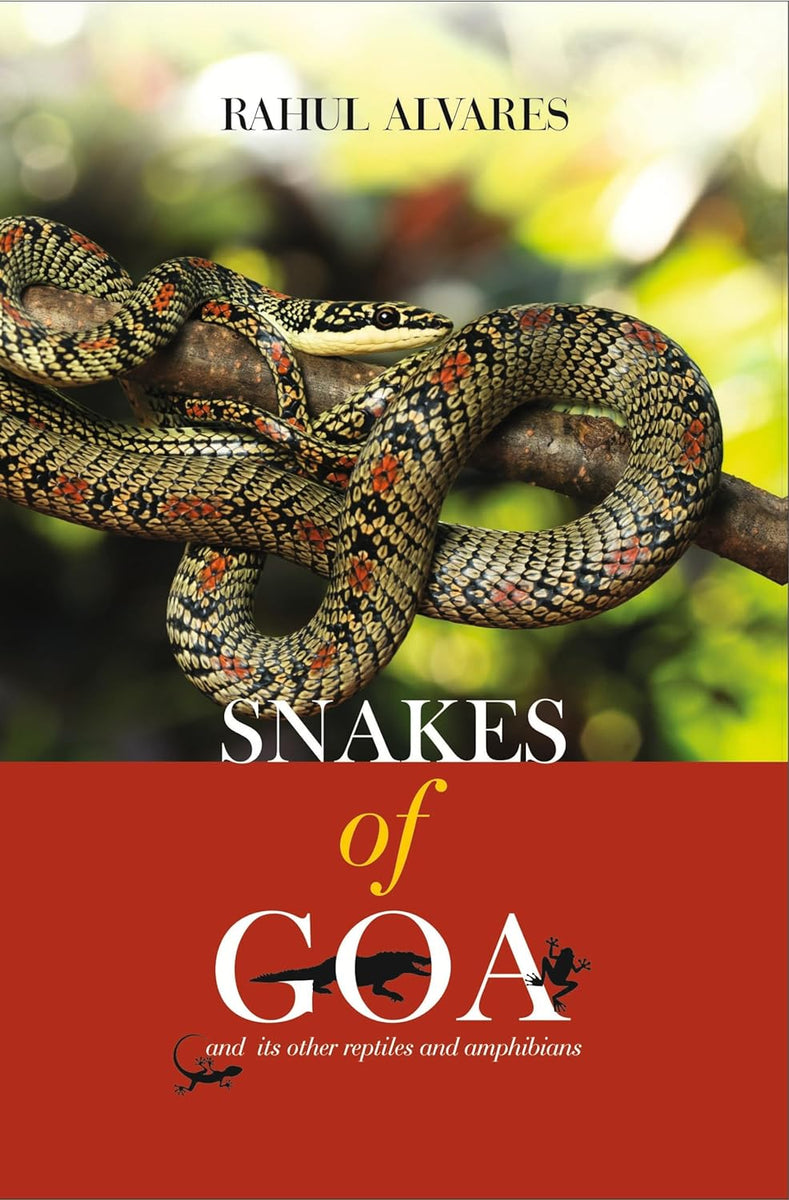 Snakes of Goa – Champaca Bookstore, Library and Cafe