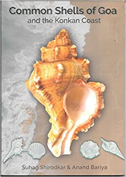 Common Shells Of Goa And The Konkan Coast – Champaca Bookstore