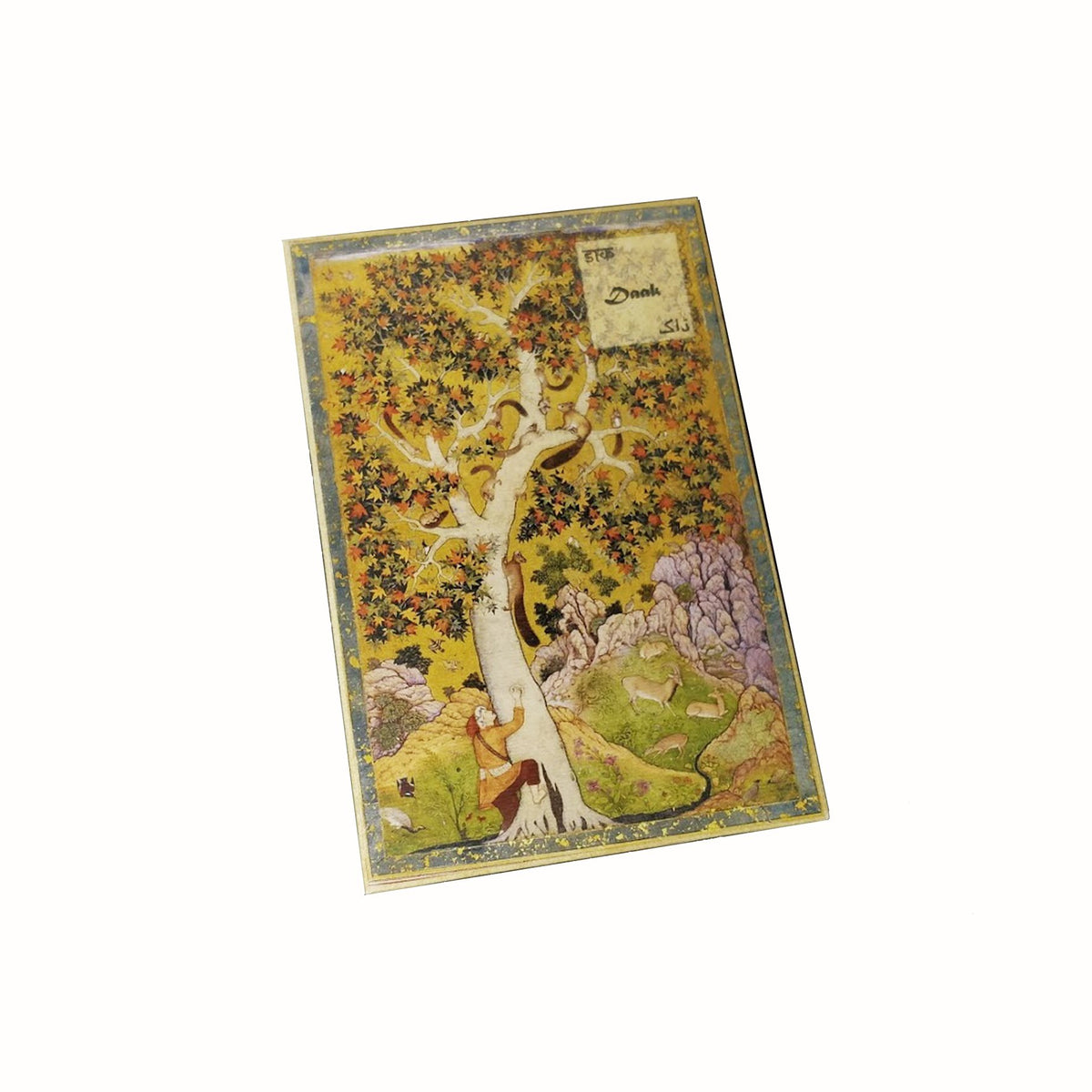 Daak Postcard Box - Hidden Gems from the Subcontinent – Champaca Bookstore