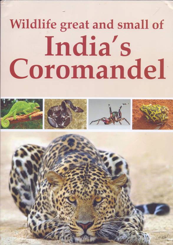Wildlife Great and Small of India’s Coromandel – Champaca Bookstore, Library and Cafe